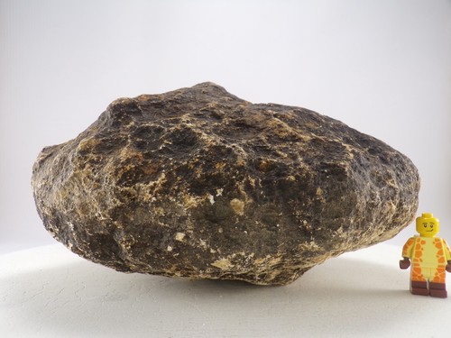 9" Unopened Geode Large Semi Solid - Solid Natural Kentucky Crystal ...