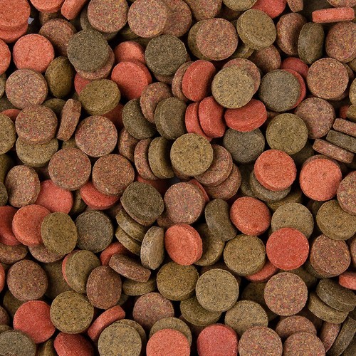 1 kg tropical feeding tablets mix tablets adhesive tablets fish food ...