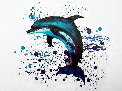 Colorful Dolphin 3 Inch Transparent Sticker Ocean Fishing Nature Decal ...