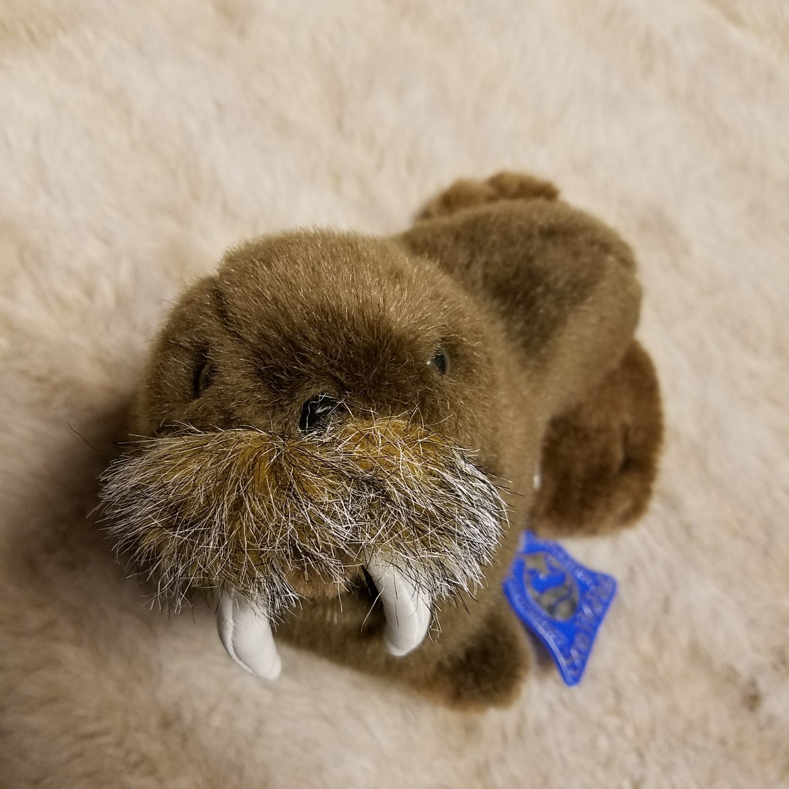 Sea World Walrus Plush Stuffed Animal Lovey | eBay