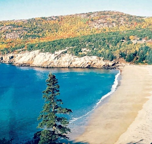 2000s Acadia National Park Maine Postcard Sand Beach Coastal View ...
