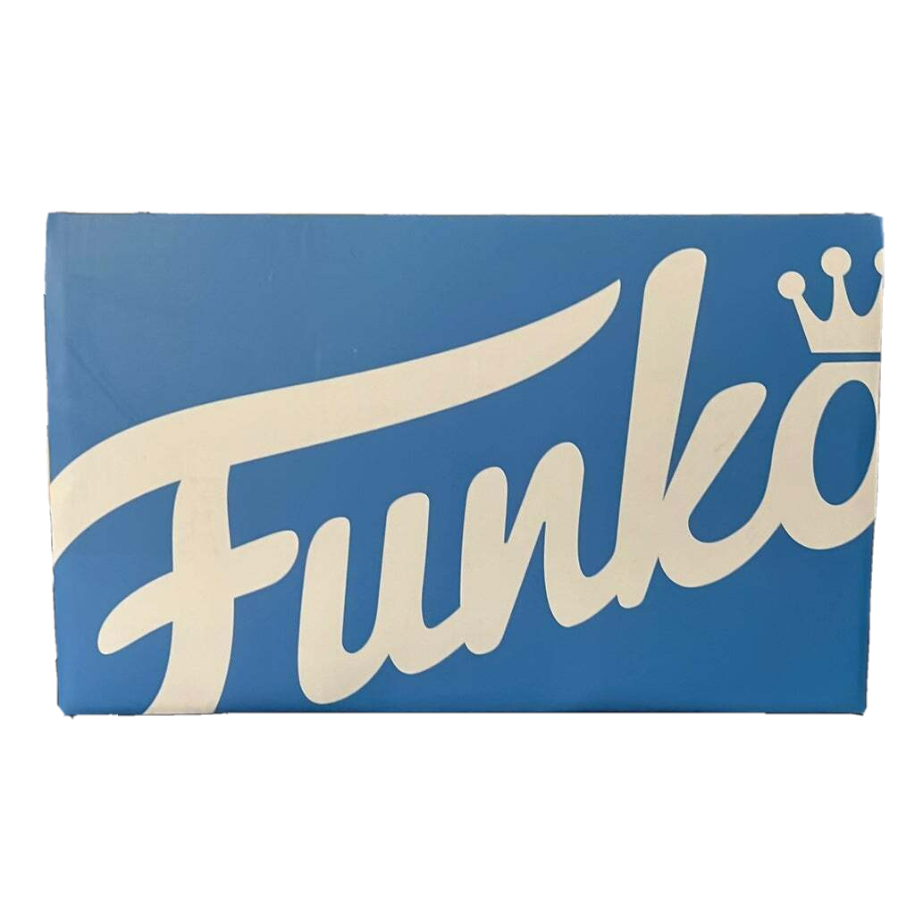 Funko Fundays 2021 Funko Shoe Box and Funatic Fury Extras | eBay