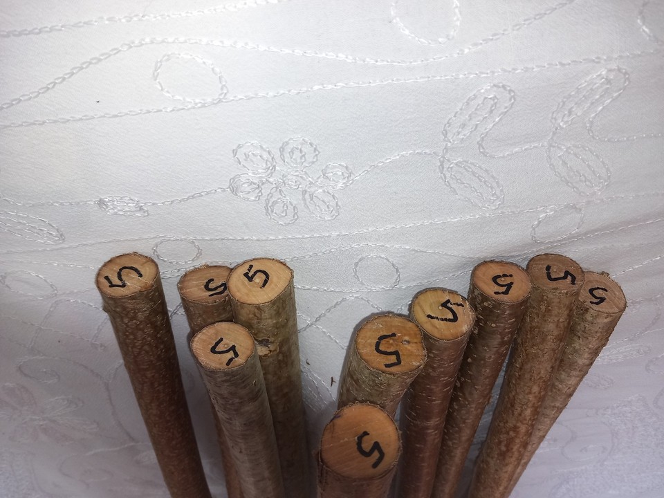 10 X HAZEL QUALITY SHANKS, WALKING STICK MAKING BLANKS COUNTRY CRAFT ...