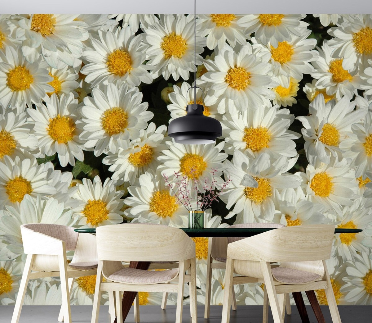 Daisy Backgrounds New Art Print: Daisy Garden – Green Artist Designs