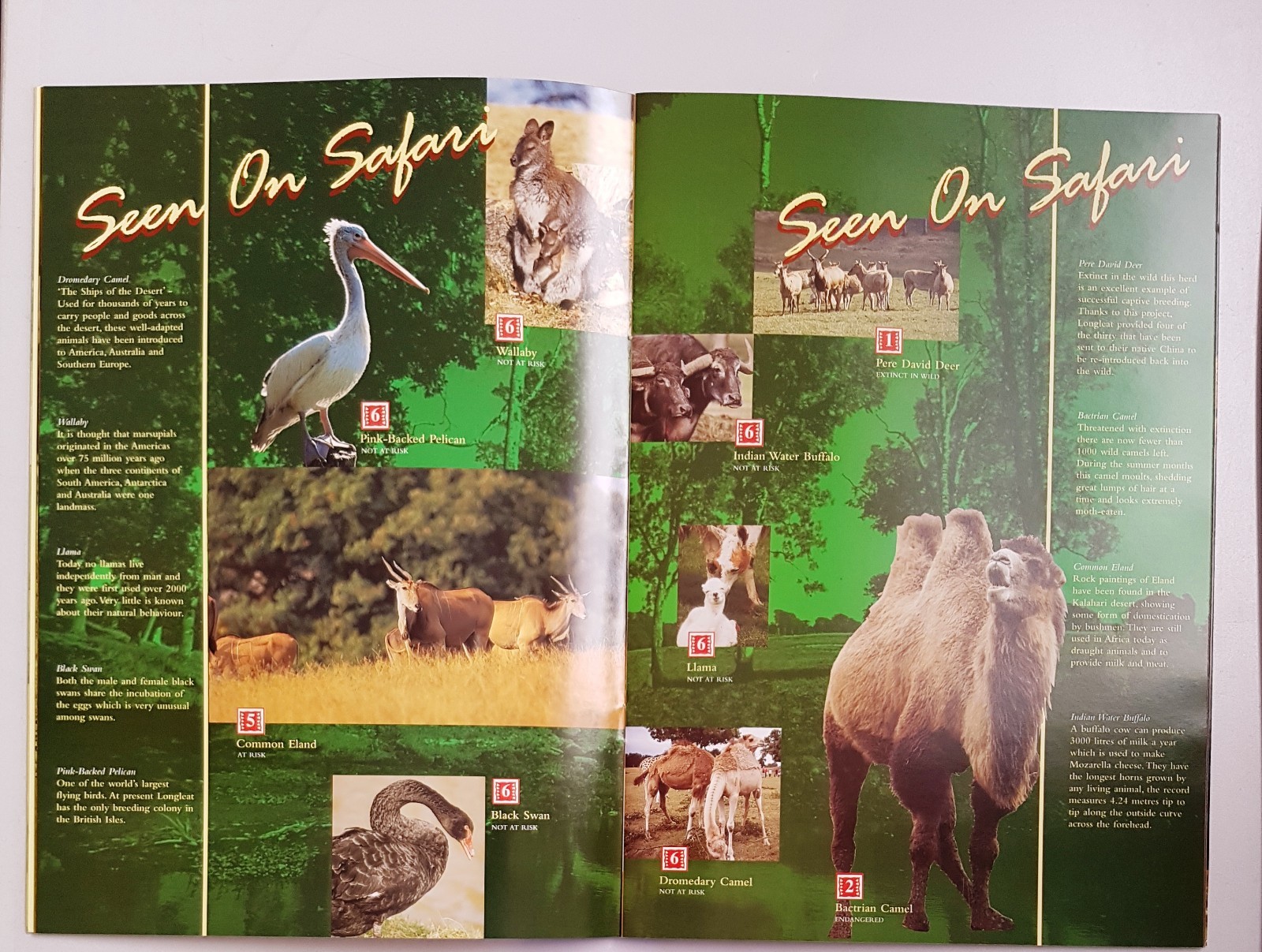 LONGLEAT SAFARI PARK Souvenir Guide Book - Tourist Travel Picture Book ...