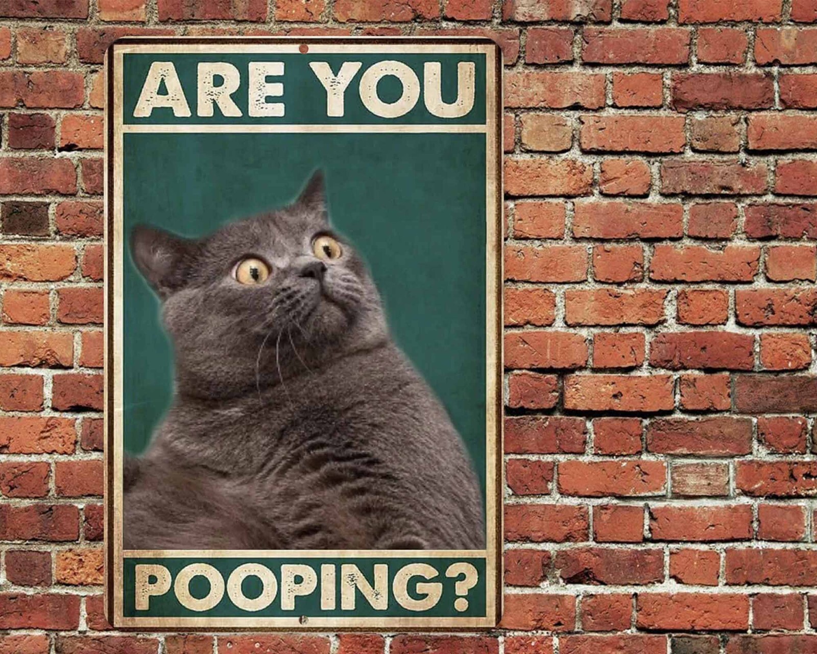 Are You Pooping Cat Metal Aluminum Sign 8"x12" Funny Bathroom Toilet | eBay