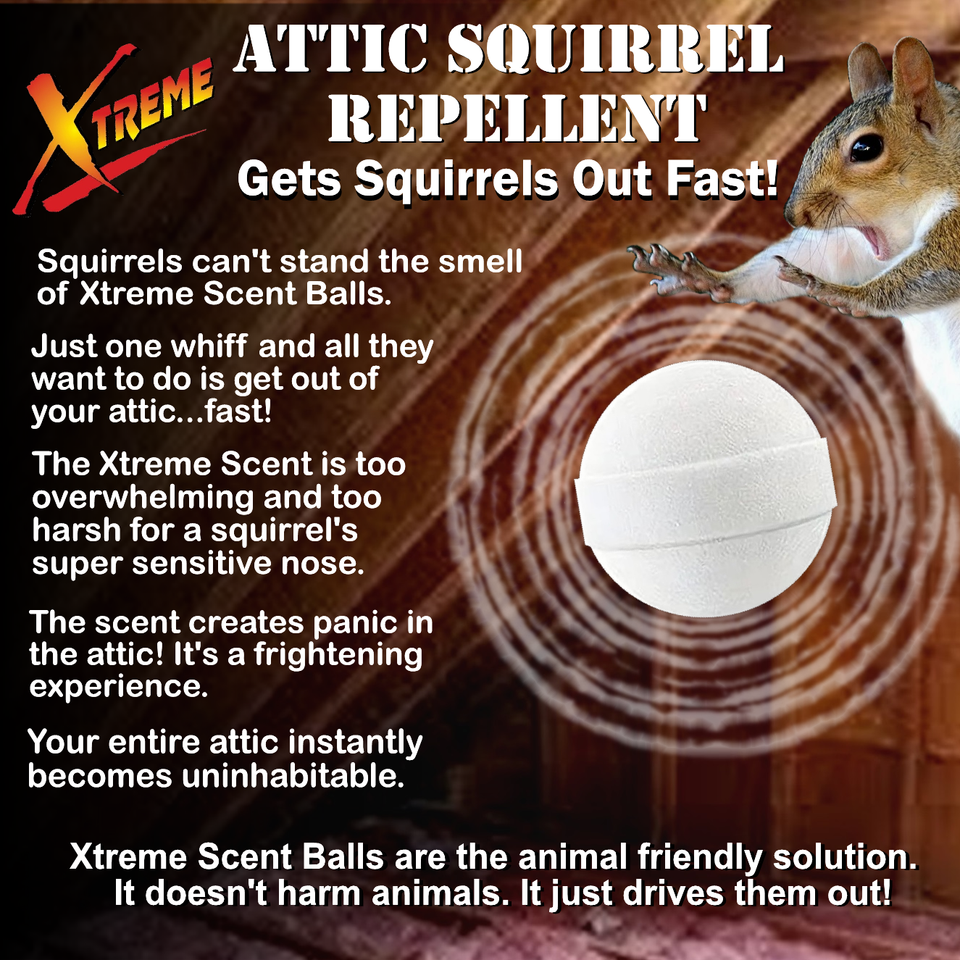 NEW! Attic Squirrel Repellent. DRIVES SQUIRRELS OUT FAST! 5 PK | eBay