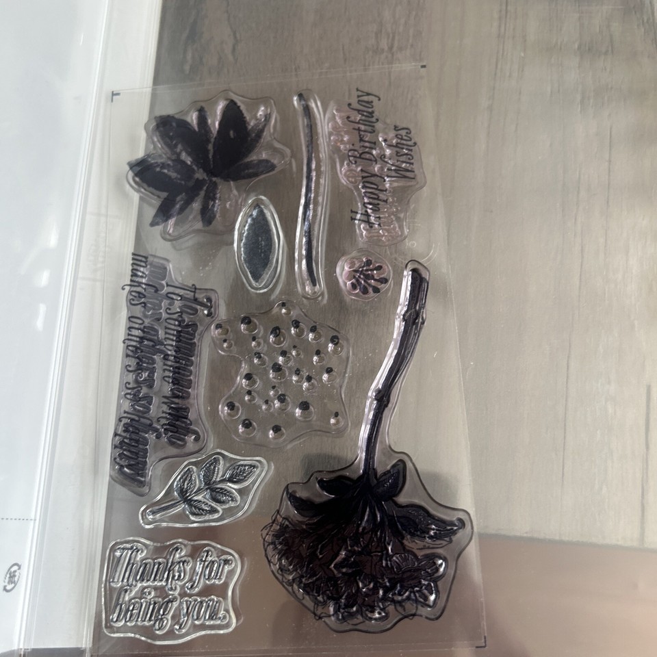 Stampin' Up! AVANT-GARDEN Photopolymer Stamp Set 143272 | eBay