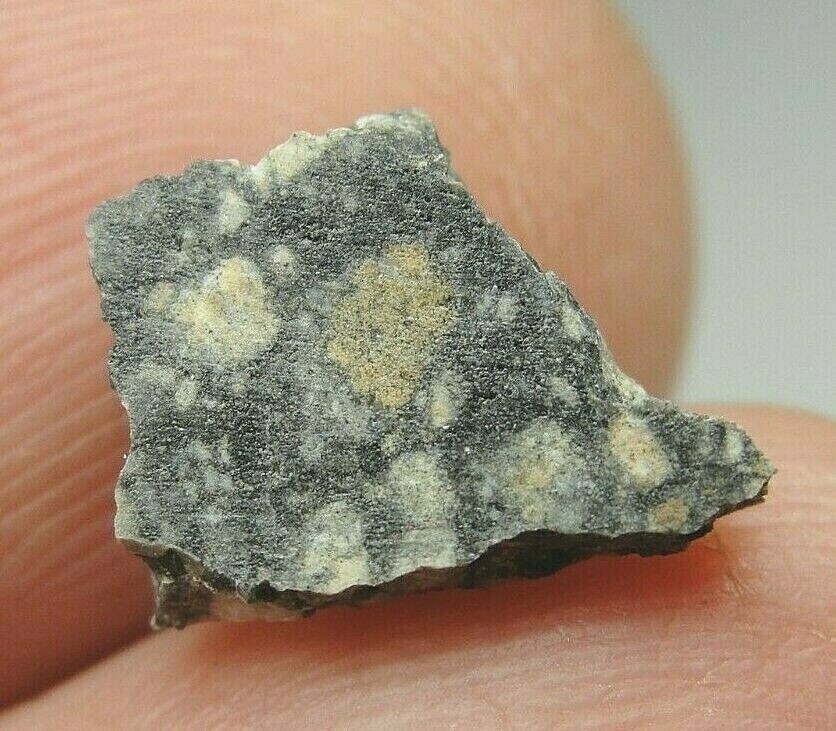 Meteorite NWA 10901 Achondrite Lunar Polymict Felds/Breccia - G676-0008 ...