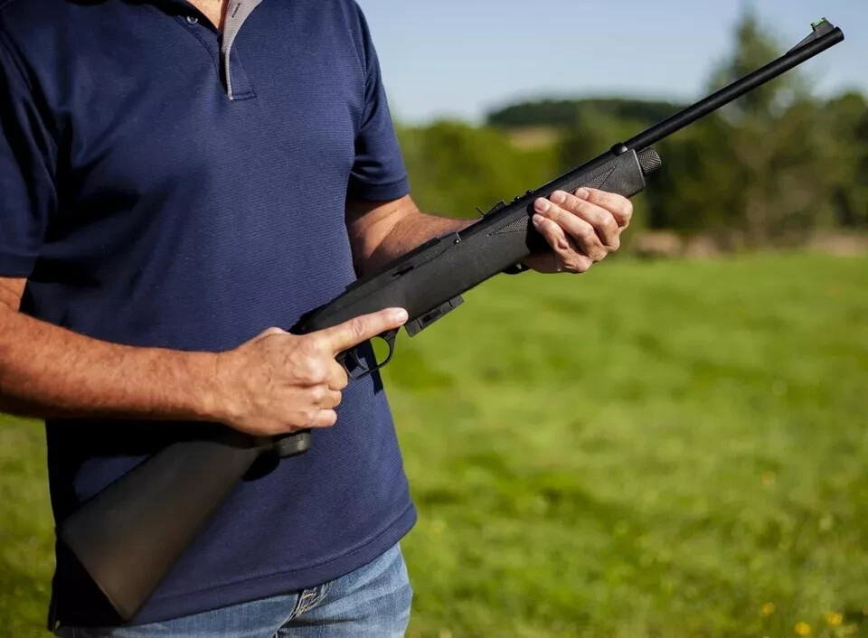 Crosman 1077 Repeat CO2 177PEL Air Gun Rifle for sale online | eBay