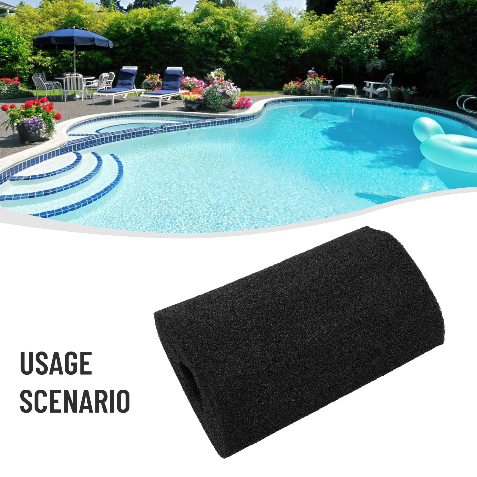 Types Of Sea Sponges