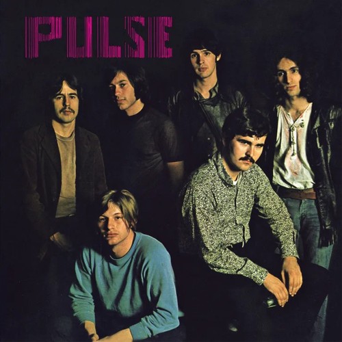 Pulse Pulse (Vinyl) 12" Album 4040824092825 | eBay