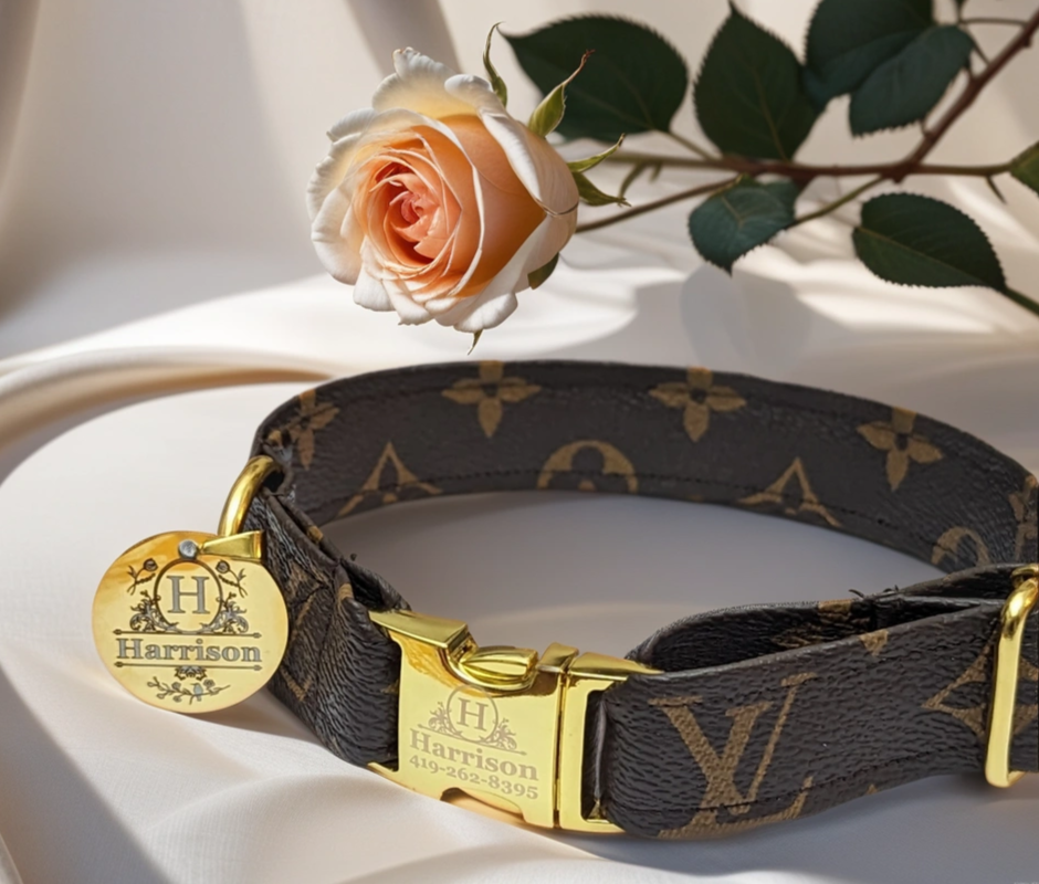 Small Louis Vuitton Monogram Collar - Not Baxter | eBay UK