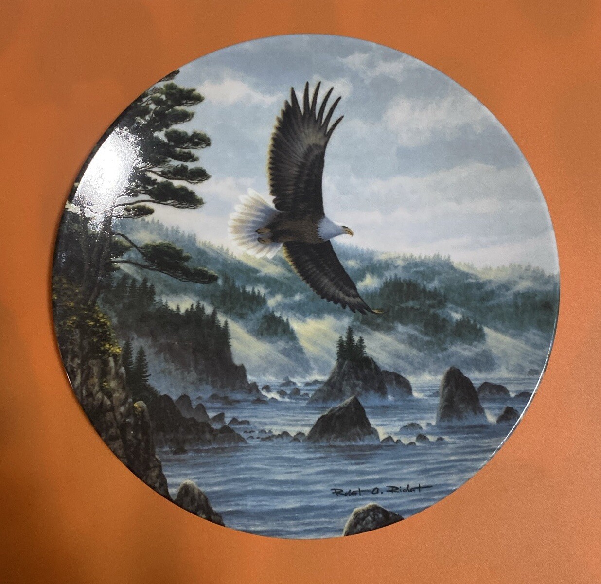 RUGGED SHORES Plate America's Pride Robert Richert World Center for ...