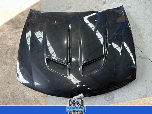 Holden Monaro HSV CV8 GTO bonnet | eBay