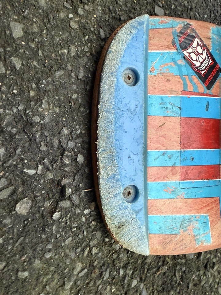 VTG 1980s Vision Gator Mark Rogowski PRO MODEL Skateboard *SIGNED ...