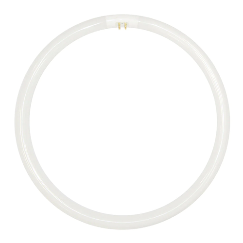 Lusion T5 Circular Fluorescent G10q 32W/840 250mm 30508 | eBay Australia