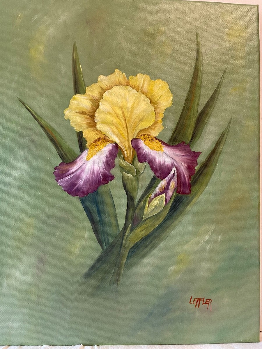 Iris Flower Acrylic Painting Original Large Acrylic Painting On Canvas