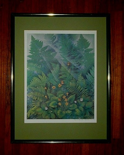 ROBERT BARR BANISTER (The Late):Biotanical & Foliage Painting, MINT ...