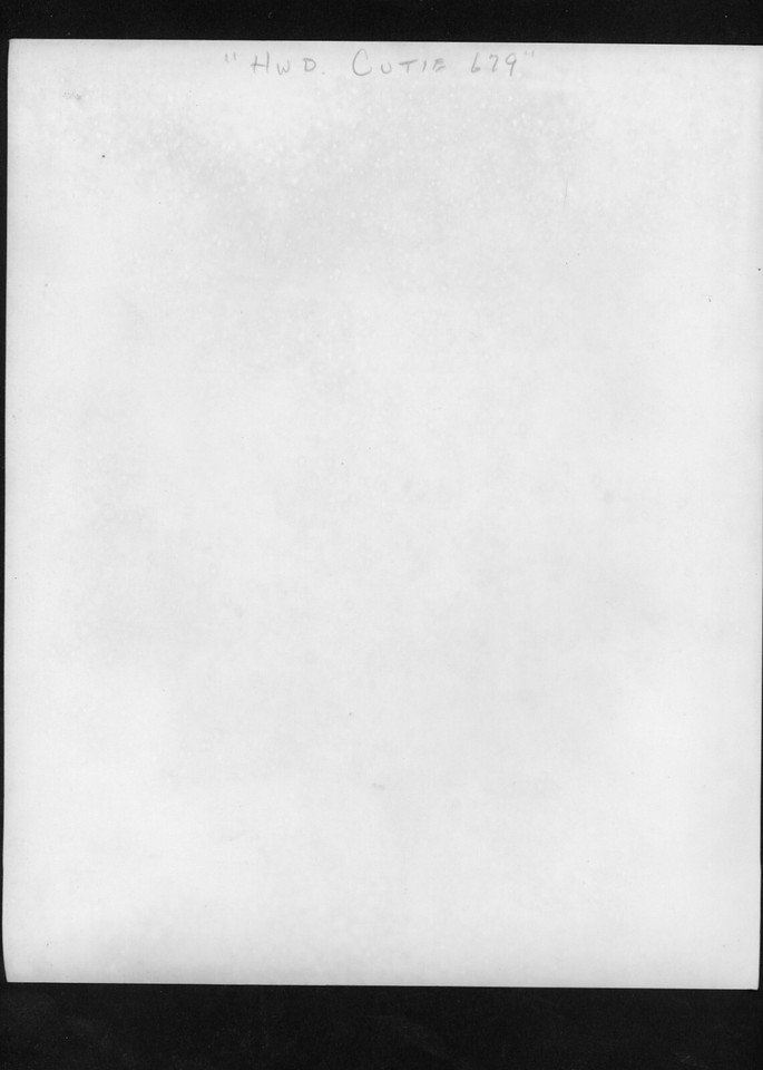 1950s Pin Up Burlesque Lingerie Cheesecake Risque Rare Vintage Original ...