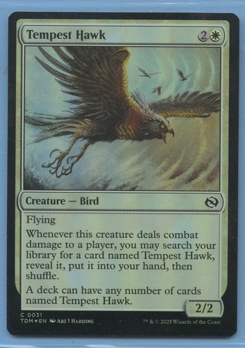 MTG: Tarkir: Dragonstorm: Tempest Hawk: FOIL | eBay