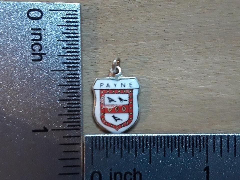 Payne Coat of Arms / Family Crest Silver Plated Enamel Charm | eBay