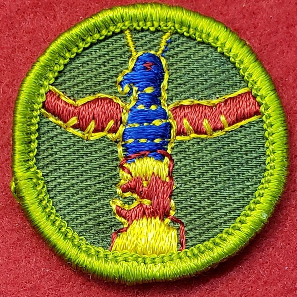 BSA Wood Carving Merit Badge - Type F - Boy Scouts of America | eBay