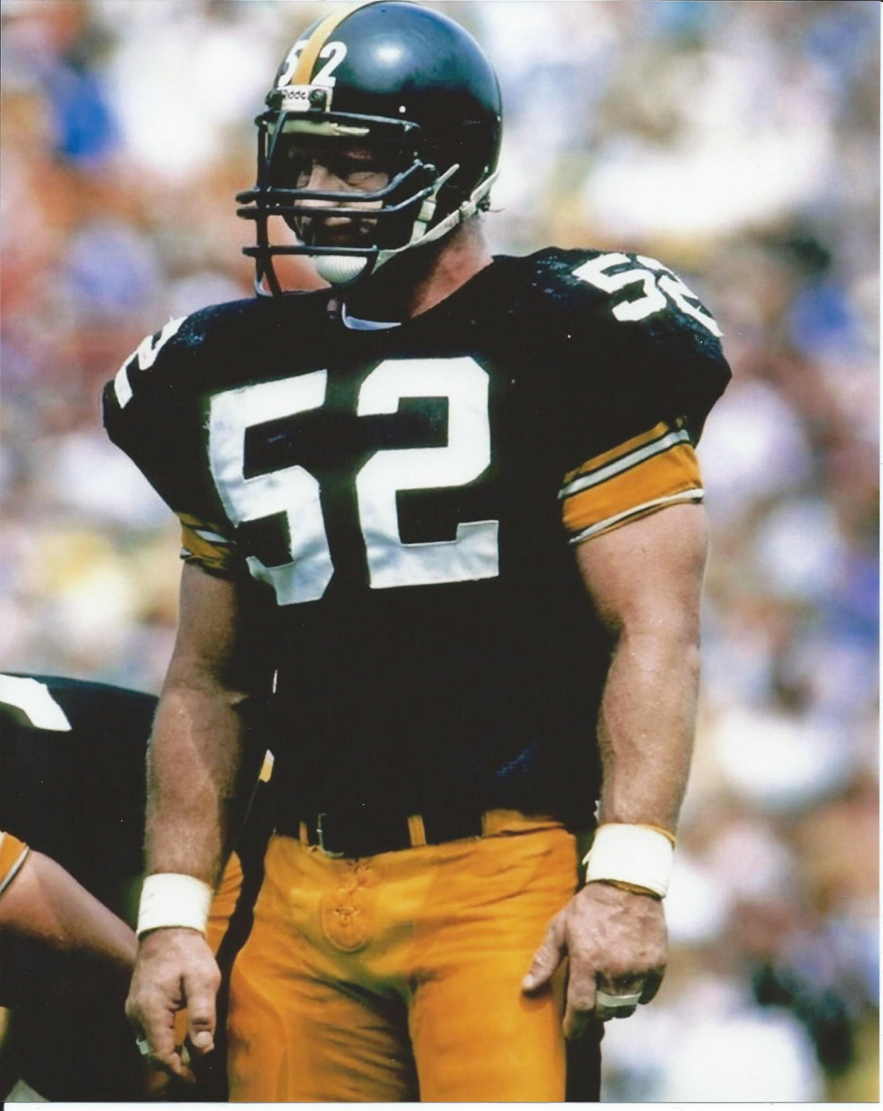 Mike Webster Pittsburgh Steelers 8x10 Picture Celebrity Print | eBay