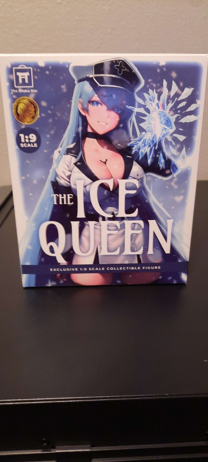 Otaku Box The Ice Queen Exclusive 1:9 Scale Collectible Anime Figure | eBay