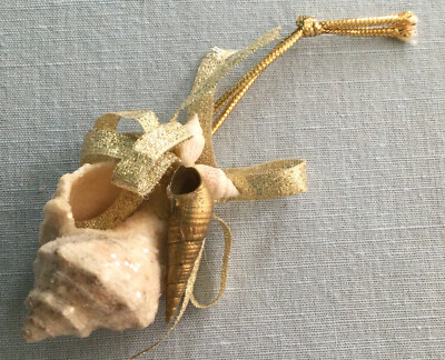 White Glitter Conch Seashell Ft. Myers Beach Christmas Tree Ornament ...