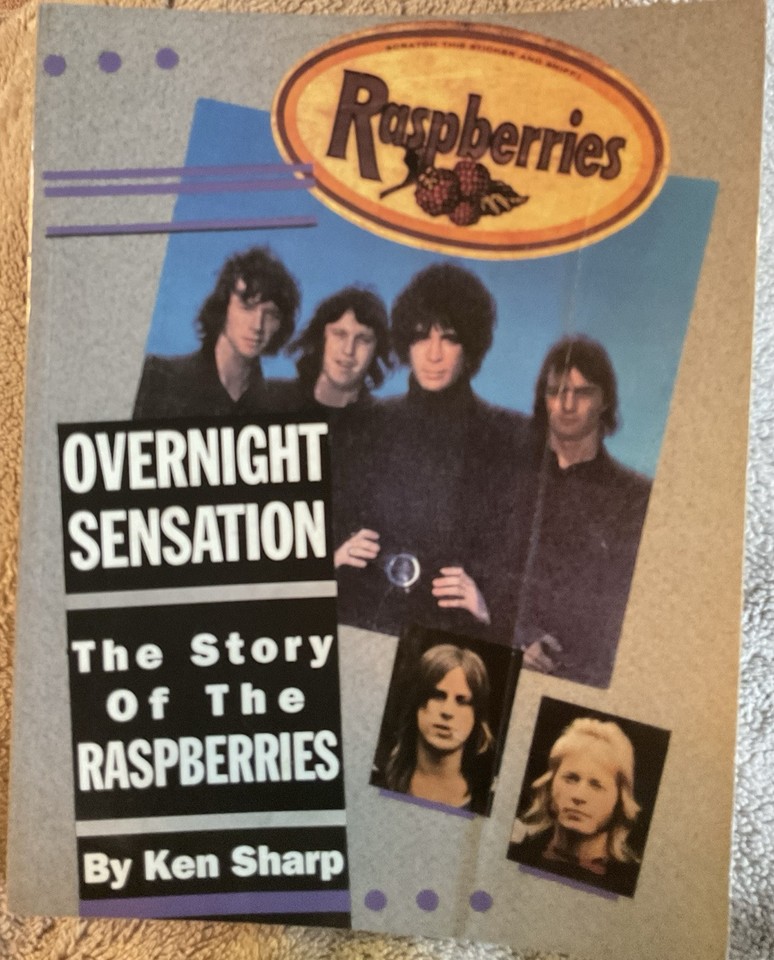 Overnight Sensation: The Story Of The Raspberries Eric Carmen RARE OOP ...