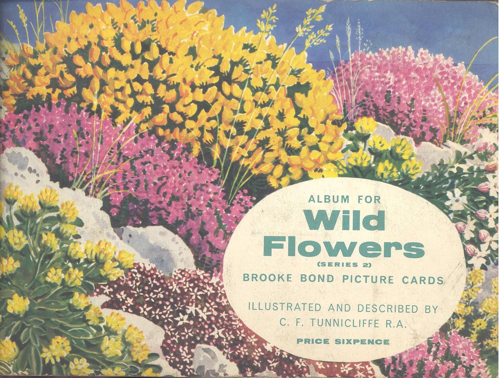 Brooke Bond - Wild Flowers, Series 2 - Set in album, matt cover with ...