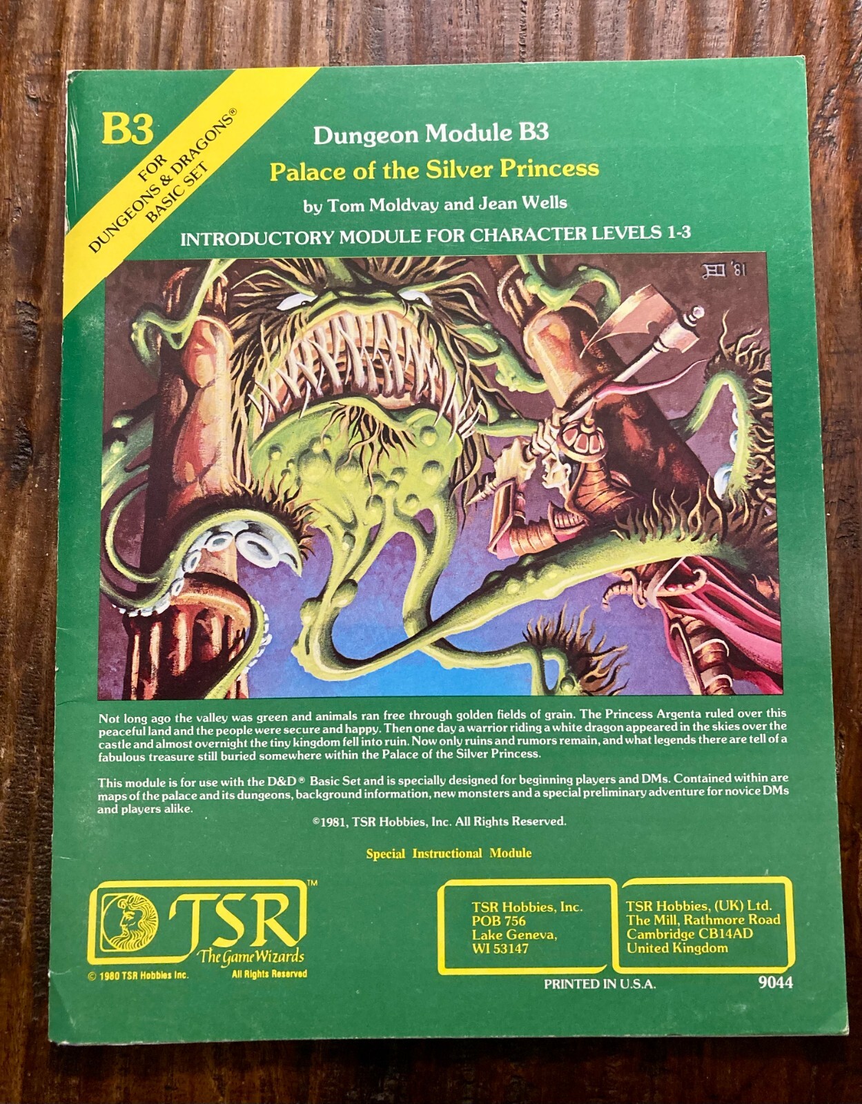 Dungeons & Dragons Module B3 Palace of the Silver Princess TSR Great ...