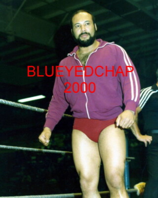 JOSE ESTRADA WRESTLER 8 X 10 WRESTLING PHOTO WWF | eBay