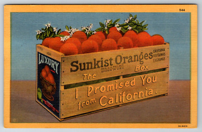 c1940s Sunkist Oranges Box California Postcard Los Angeles Linen | eBay