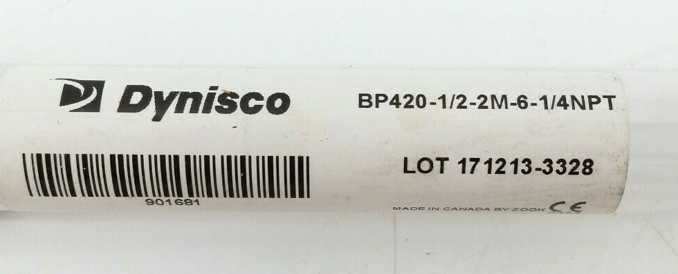 Dynisco BP420-1/2-2M-6-1/4NPT Burst Plug | eBay
