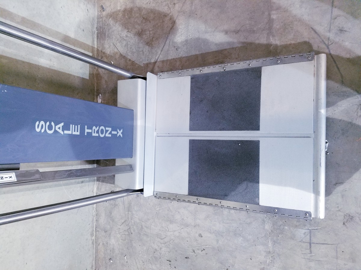 Scale Tronix Wheelchair Scale