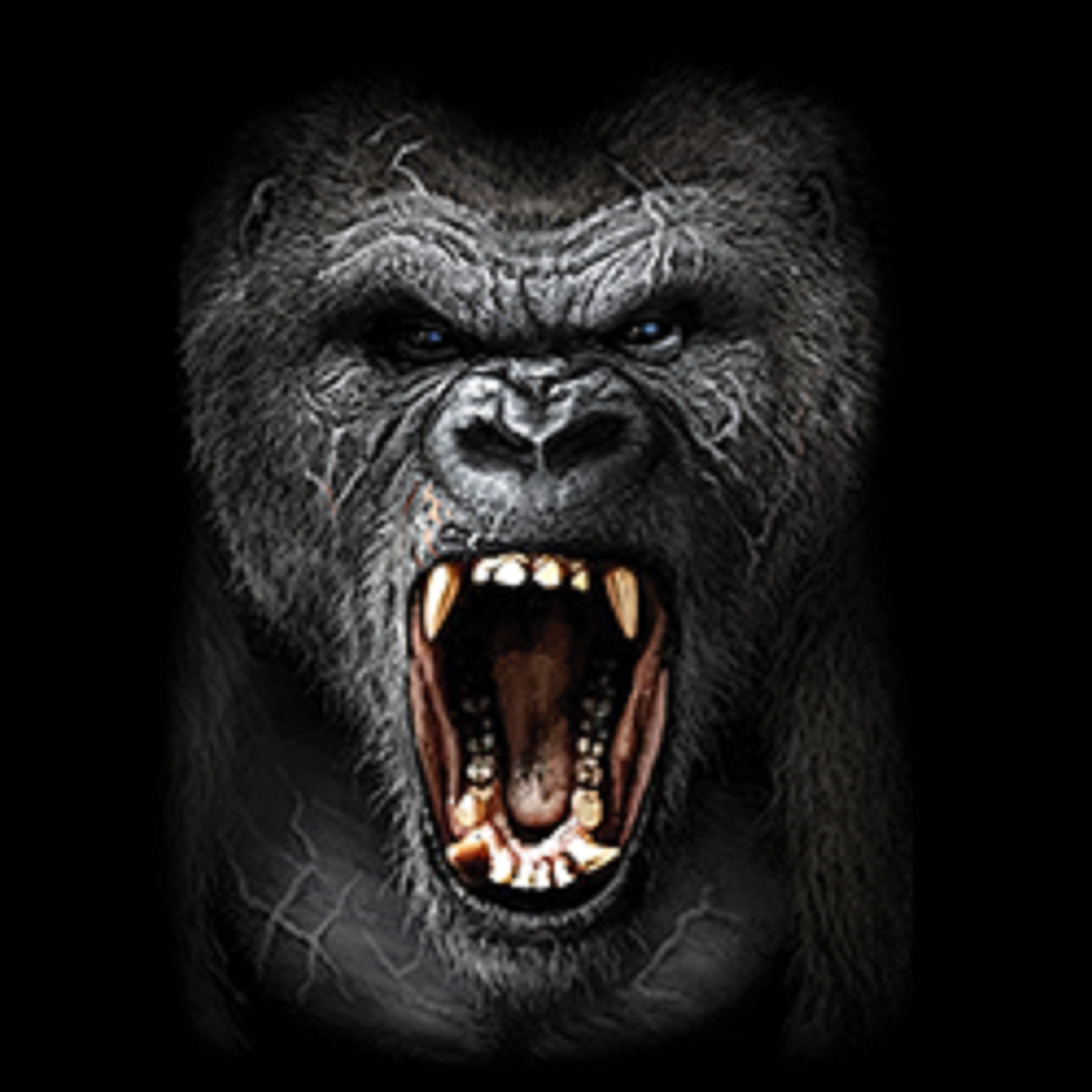 Gorilla Roar