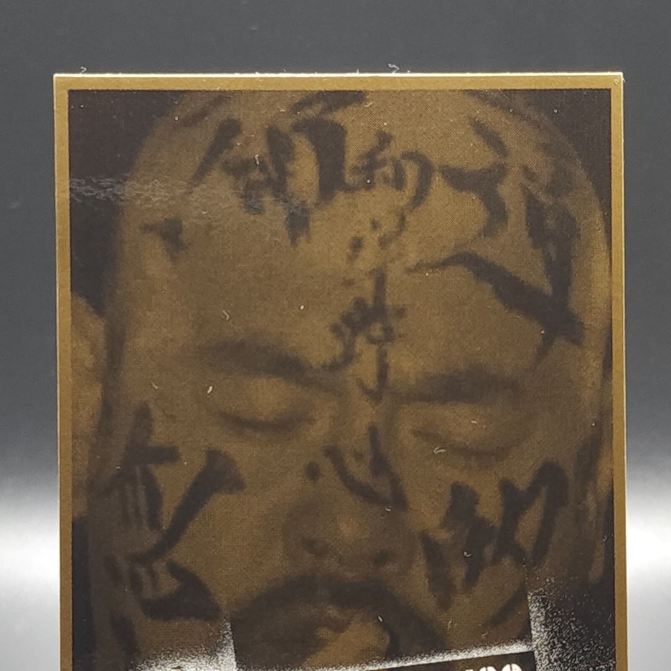 Great Muta Keiji Mutoh New Japan Pro Wrestling Japanese Card #117 2003 ...