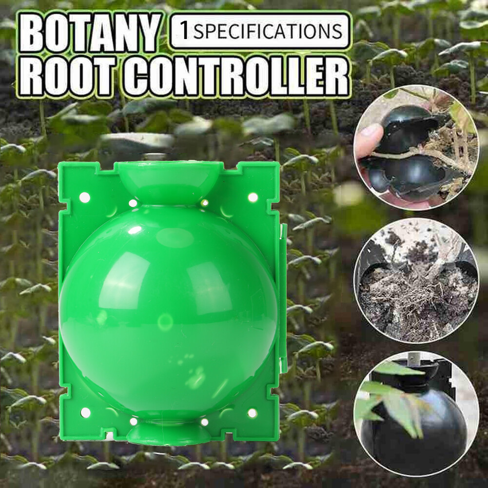 Plants Rooting Garden Box Propagation Cutting Rooter Sapling Ball (L ...