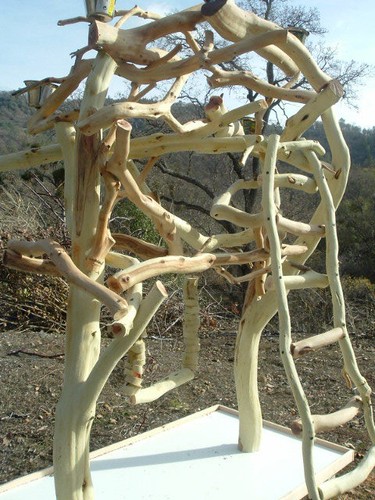 HUGE Double MACAW AF GRAY Sandblasted Manzanita Parrot Tree Stand bird ...