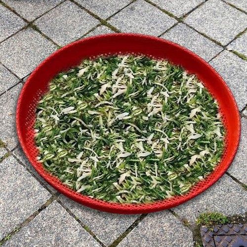 Mesh Strainer Colander Sieve Berry Cleanup Tray Sifter for Washing ...