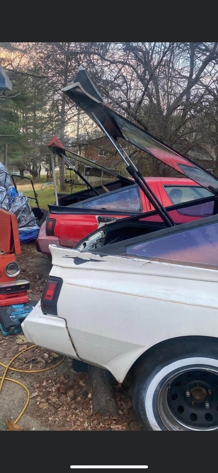 1983-1989 Mitsubishi Starion Dodge Conquest Rear Hatch Struts by ...