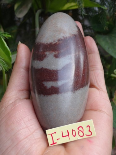 4 " Shiva Lingam Pierre Narmada Rivière Inde Très Spéciale & Rare ...