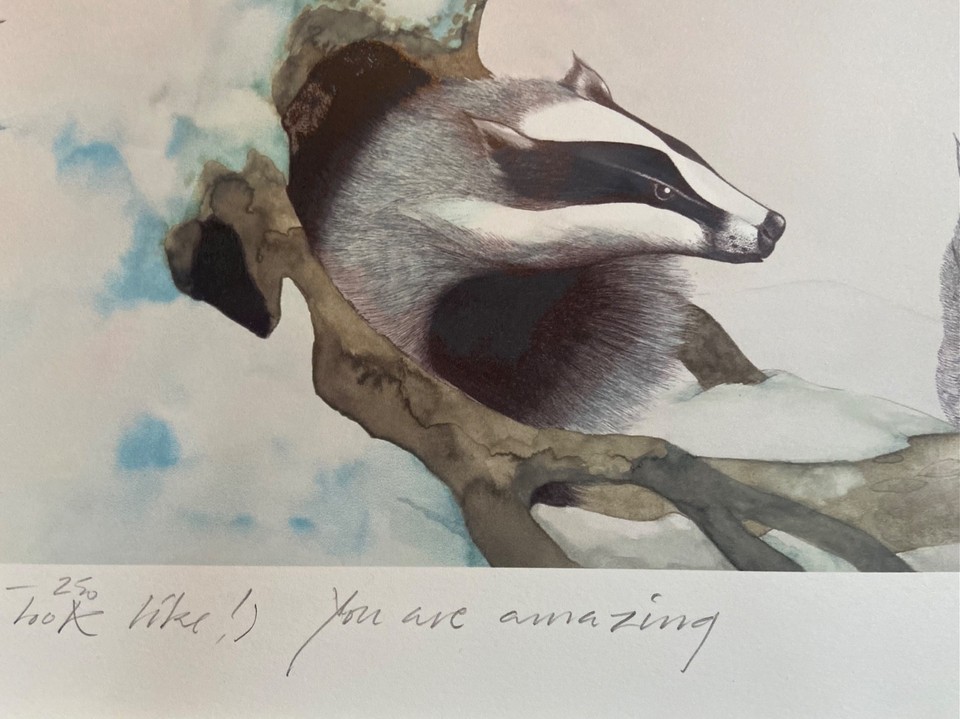 Roger Dean 'Badger' Print: Prog Rock History, One Live Badger, Yes | eBay
