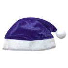 Child Purple Plush Santa Hat ~ FUN XMAS, CHRISTMAS, HOLIDAY, COSTUME ...