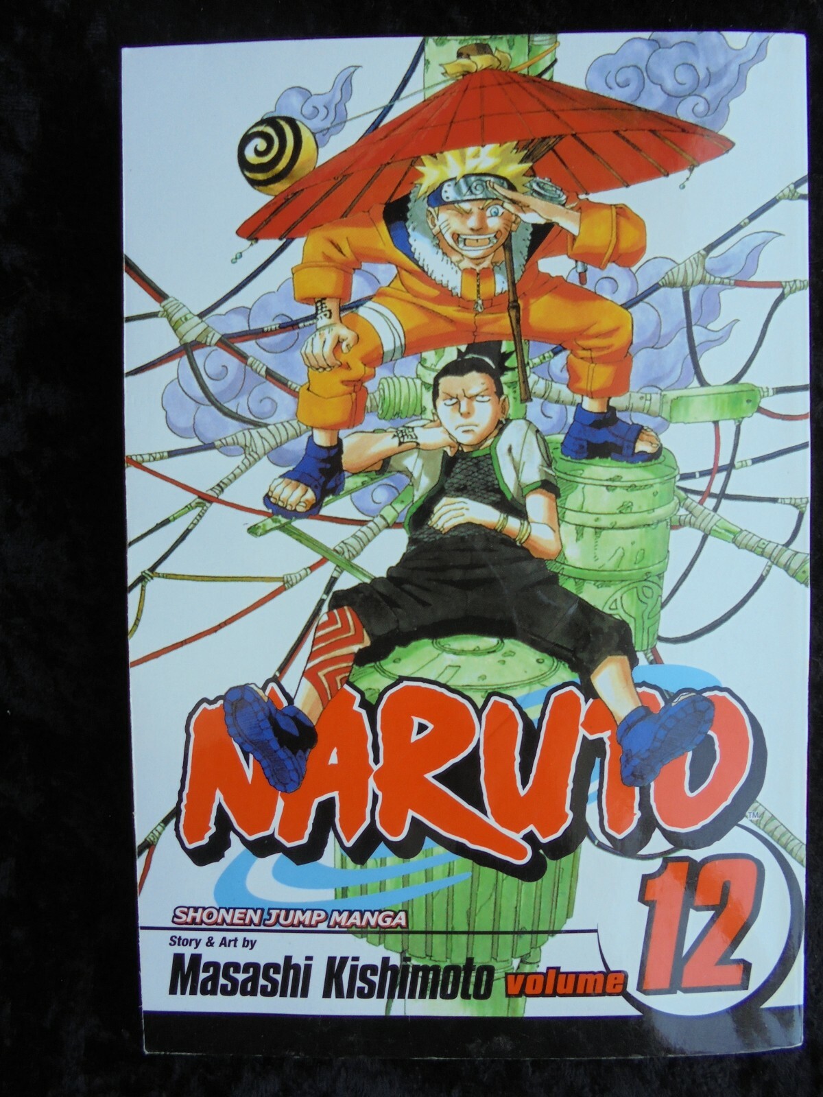 Naruto Book 12