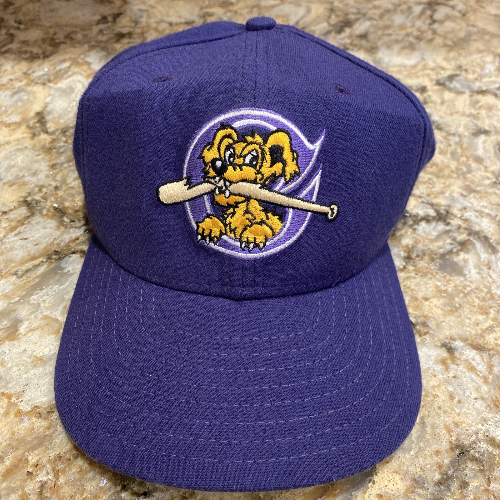 Vintage Charleston Riverdogs Hat Snapback New Era Made In USA Minor ...