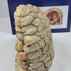 Fontanini Stone Grotto Cave Nativity Creche Set Holy Family Light 5 ...