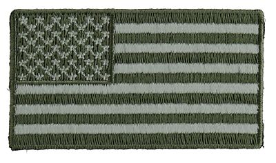 US Flag Patch Earth Green 2.5 Inch- 2.5x1.4 inch - P4947 | eBay